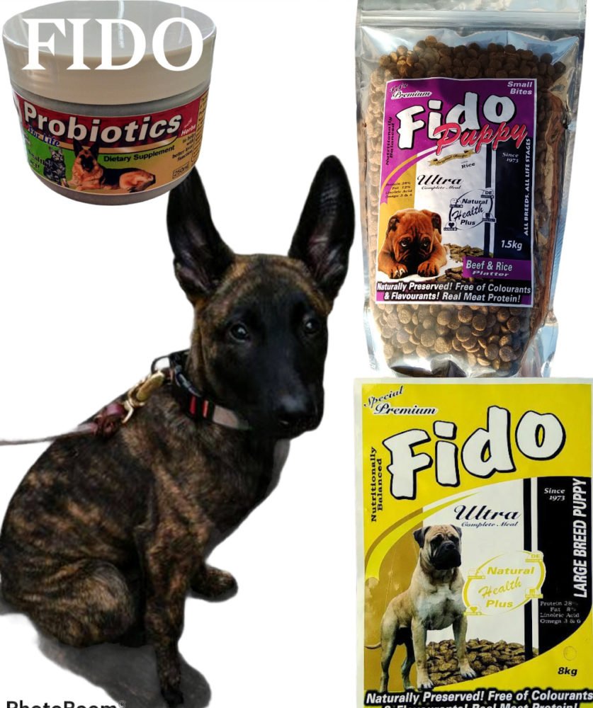 Fido Puppy Beef & Lamb Small breeds, high protein (Small pellets) - K9 ...